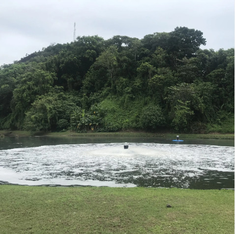 Quality TSR High Speed Surface Aerator  For Wastewater Treatment for sale