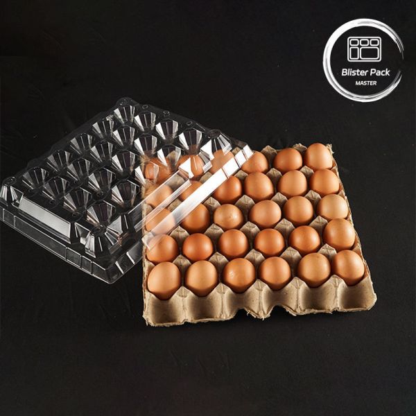 Quality PET Plastic Egg Tray Packaging 30 Hole Cartons In S/M/L Sizes With Paper Bottom for sale