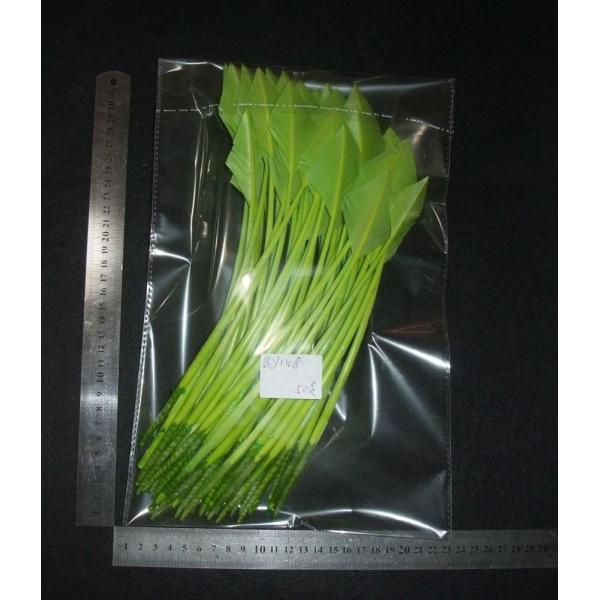 Quality Dyed Arrow Head Striped Turkey Feather Quill with Silk Screen Printing for sale
