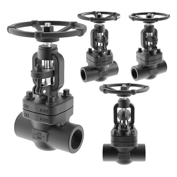 Quality DN15-DN50 High Temperature Carbon Steel Hard Seal Threaded Manual Globe Valve Z/J61/11H-800LB for sale