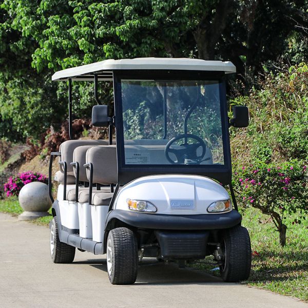 Quality 11 Passenger Electric Sightseeing Car 48V Trojan Battery /Curtis Controller for sale