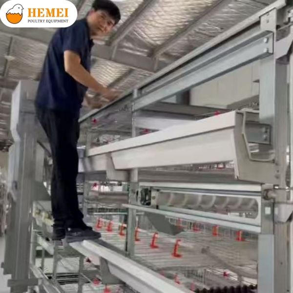 Quality Feed Trough for Poultry Cages for sale
