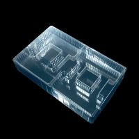 Quality 36 Years Blister Packaging Manufacturing Customized PET Plastic Tray for Door for sale