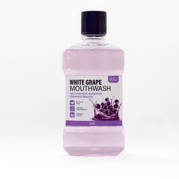 Quality Alcohol Free Antibacterial Mouthwash 250ml Multi Flavors Mouthwash for sale