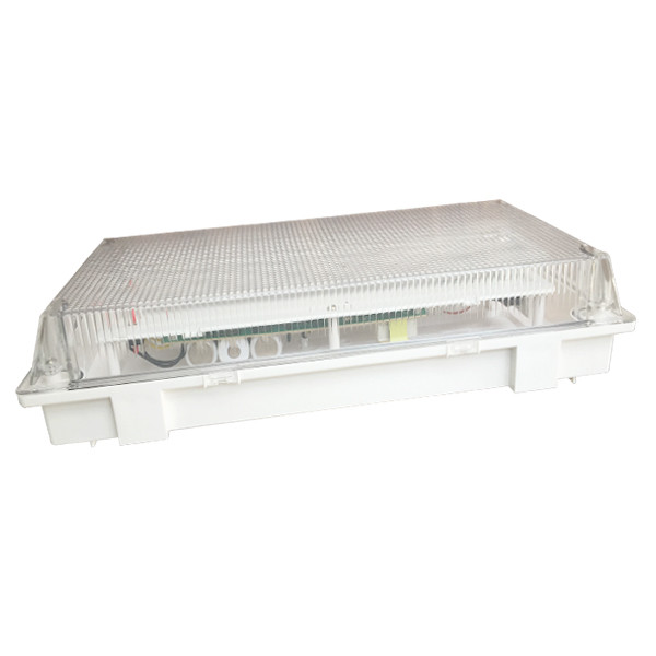 Quality Battery Operated Waterproof Emergency Light IP65 Weatherproof Model EF108DN for sale