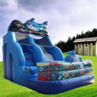 Quality Max Capacity 100-500kg Customized Color Inflatable Mario Water Slide Coming in for sale