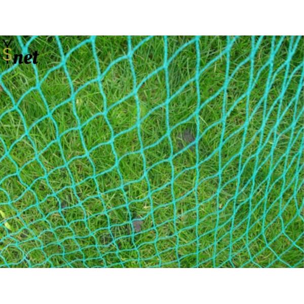 Quality UV Stabilized Agricultural Bird Netting Customized Bird Control Netting White for sale