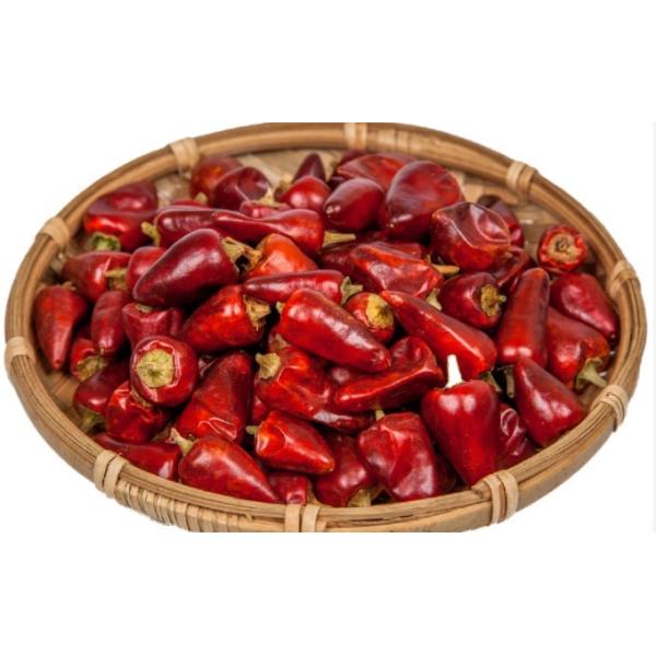 Quality Zero Additive Red Bullet Chilli Sterilized 4CM Dehydrating Chillies for sale
