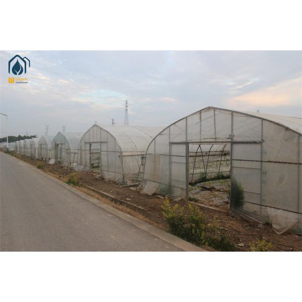 Quality Arched Temperature Control Tunnel Green Houses With Outside Shading System for sale