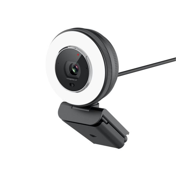 Quality Built In 2pcs High Definition Microphone 78 Degree Webcam With USB Connectivity for sale
