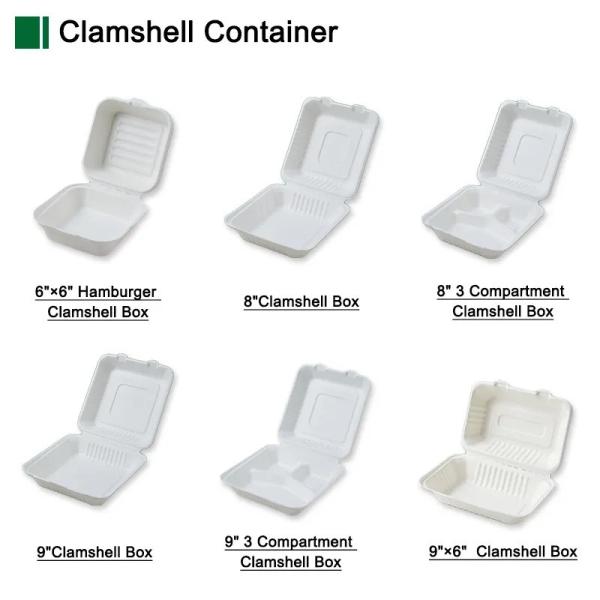 Quality Disposable Sugarcane Bagasse 3 Compartment Lunch Box Food Container Pulp Hinge for sale