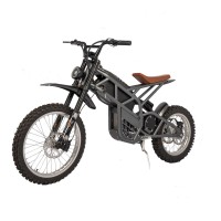 Quality 48V 2000W 16'' 19'' Fat Tires Electric Motorcycles with Aluminum Alloy for sale