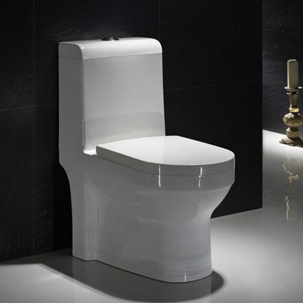 Quality 19 Inch Tall Elongated One Piece Floor Mounted Toilet 15 Inch for sale
