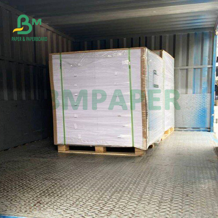 210gsm+15gsm Cup PE Film Coated Paper Good Brightness 615mm X 850mm 