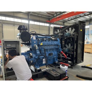 Quality 50hz 60hz Soundproof Container Open Type Continuous 200KW 250KVA LPG Powered for sale