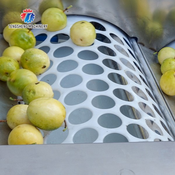 Quality 2.5KW Vegetable Fruit Sorting Machine Roller Barrel Grading equipment for sale