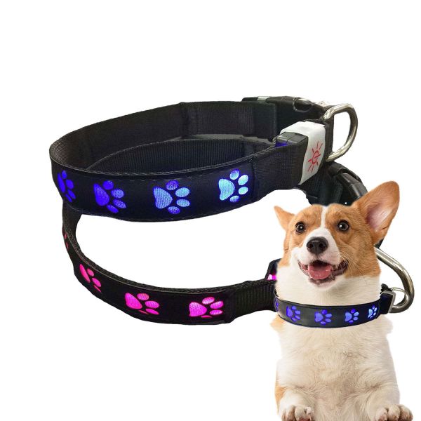 Quality All Season LED Flashing Dog Collar Small Medium Large Illuminated Dog Collar for sale