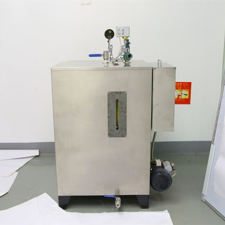 Quality Oven Barbecue Cleaning Portable Steam Generator Boilers 36kw Thermal Energy Savings for sale