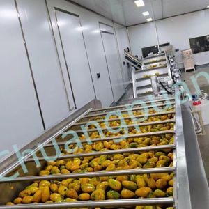 Quality Mango Pulp Production Line for sale