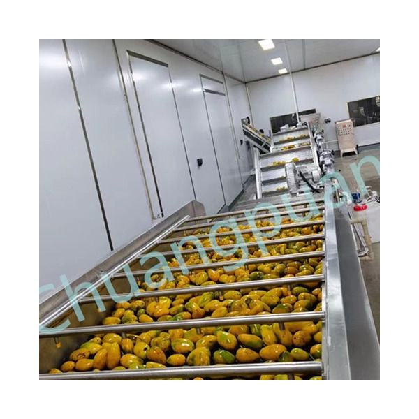 Quality 500-50000KG/H Capacity Mango Pulp Production Line for sale