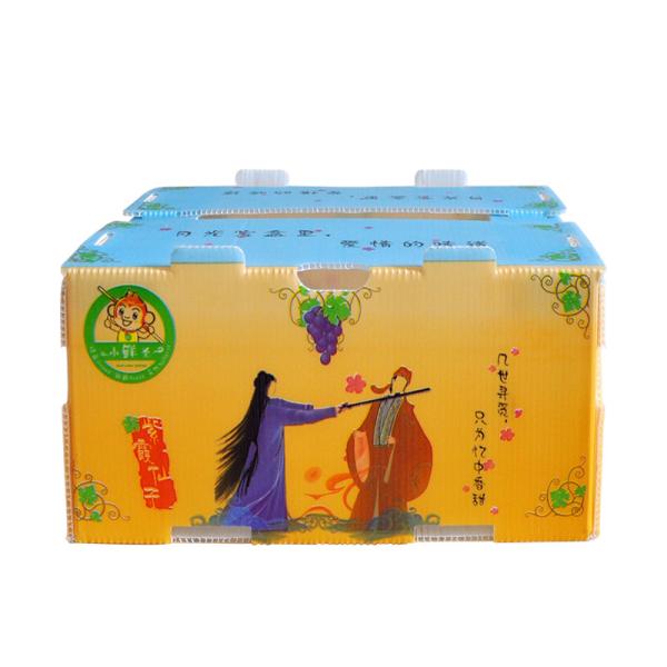 Quality Correx Corn Vegetable Corrugated Boxes Corrugated Plastic Shipping Boxes for sale