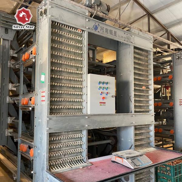Quality Hot Sale Poultry Farm H Type Chicken Layer Cage With Full Automatic System for sale