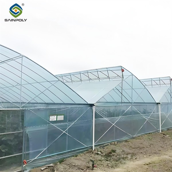 Quality Simple Multi Span Commercial Gothic Type Greenhouse Wind Resistance for sale