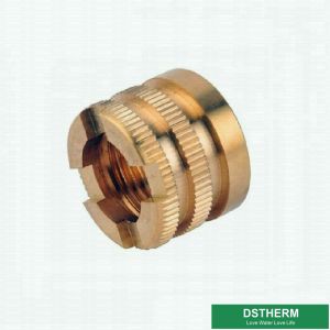 Quality Brass Color Female Brass Inserts For Ppr Fittings Customized Designs for sale