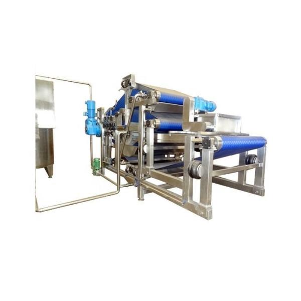 Quality Professional Custom Industrial Cold Press Juicer Apple Juice Belt Type Press for sale