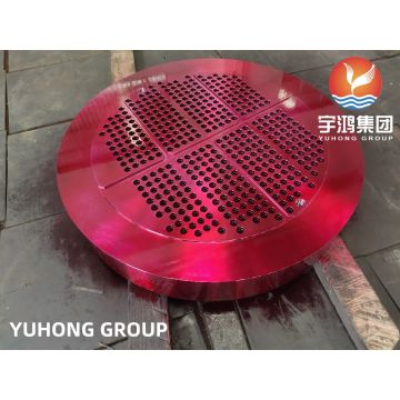 Quality ASME SA182 F304 UNS S30400 Stainless Steel Heat Exchanger Tubesheet of Tube for sale