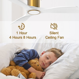Quality 3000K Black 52 Inch Ceiling Fan With Light Efficient Reversible DC Motor for sale