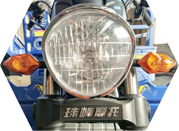 Quality Engine 200CC 3 Wheeler Gas Motorized Tricycle for sale