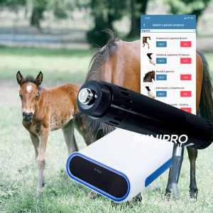 Quality Portable Horse Treatment Ems Shockwave Machine With Electromagnetic Generator for sale