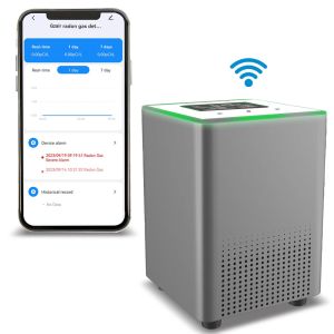 Quality 12V Home Smart Radon Monitor Detector Pulse Ion Chamer Sensor for sale