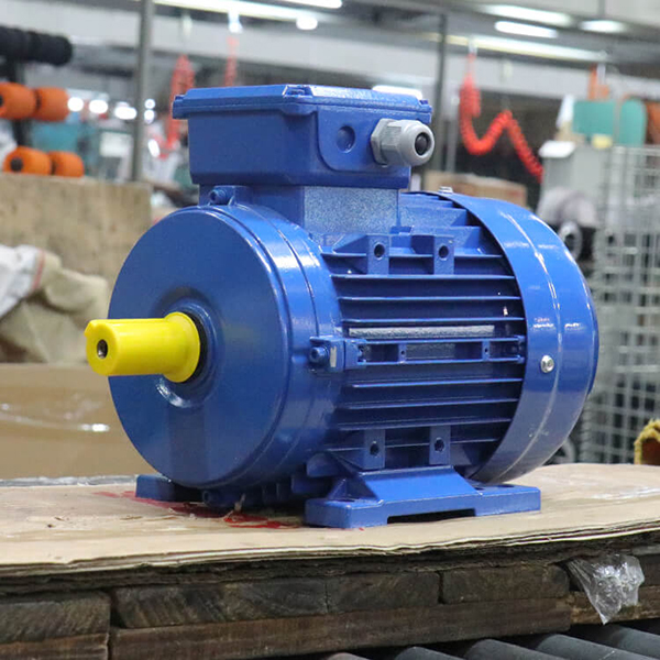 ML single phase electric motor