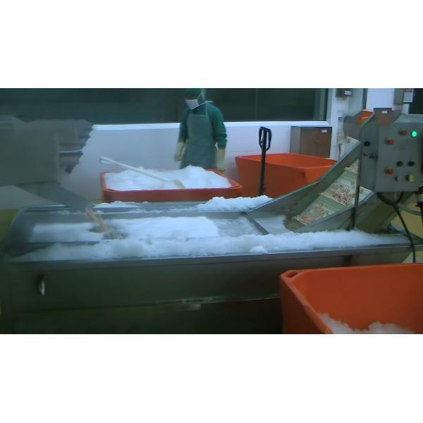 Quality ISO 2.23KW Commercial Fish Processing Machine , Anti Corrosion Shrimp Cooked for sale