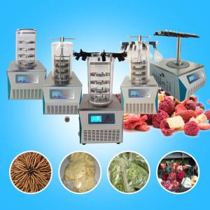 Quality Benchtop Lab Lyophilizer Stainless Steel Vacuum Lyophilization for sale