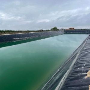 Quality HDPE Geomembrane Liner for sale