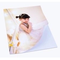 Quality A3 135gsm Self Adhesive Inkjet Photo Paper For Albulm for sale