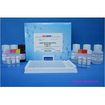 Quality Biopharmaceutical Kanamycin ELISA Kit Plasmid Detection 95% High Accuracy for sale