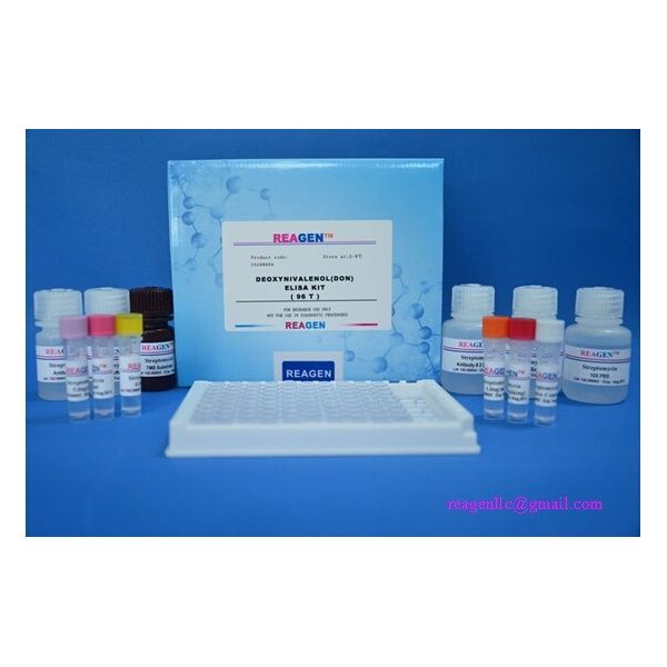 Quality Biopharmaceutical Kanamycin ELISA Kit Plasmid Detection 95% High Accuracy for sale