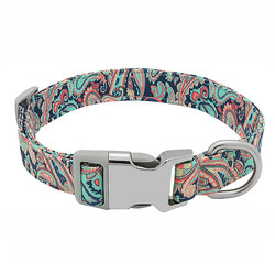 Quality Odm Oem Personalized Dog Collars And Leashes With Name Plate for sale