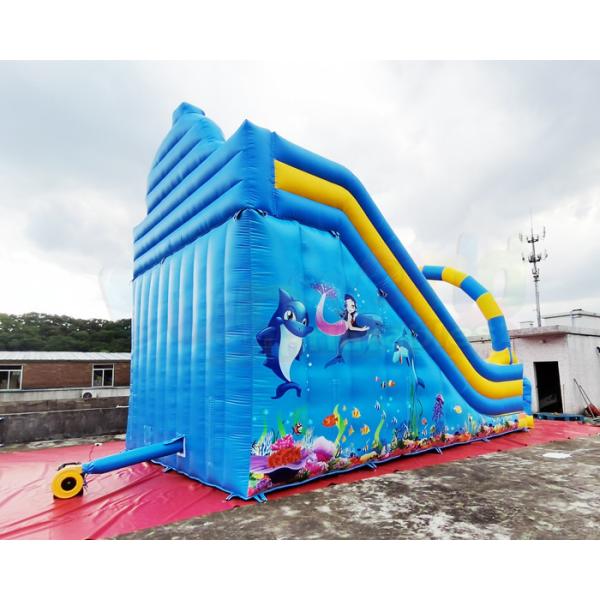 Quality Ocean World Dual Lane Commercial Inflatable Water Slide for sale