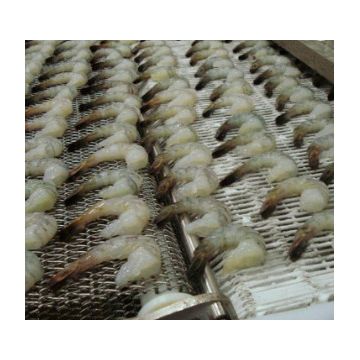 Quality 316 Stainless Steel Balanced Weave Net Conveyor Belt Wire Mesh for sale
