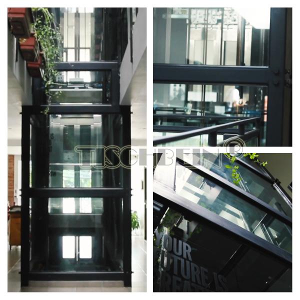 Quality 450kg 630kg panoramic glass elevator for sale