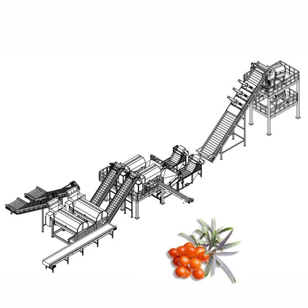 Quality Juice Processing Machine Juice Manufacturing Plant For Seabuckthorn for sale