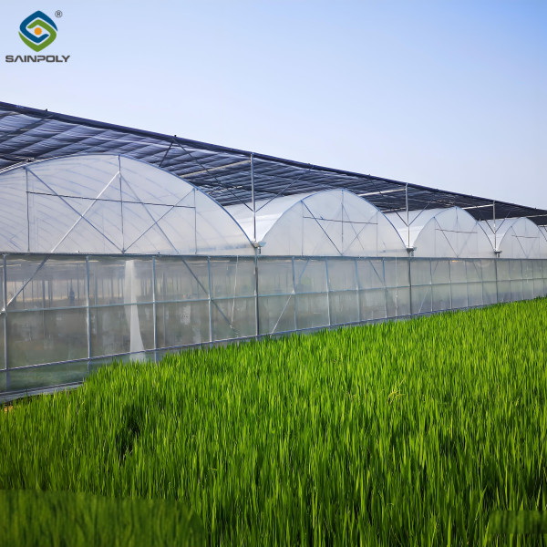Quality Multi Span Commercial Agriculture Film Greenhouses For Tomatoes Cucumber for sale