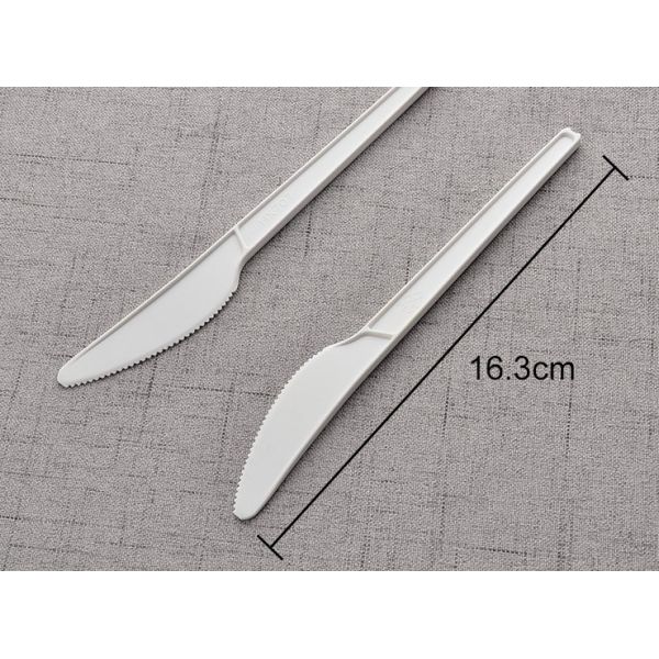 Quality Disposable Spoon Fork Knife Set Biodegradable Option for Catering and Buffet for sale