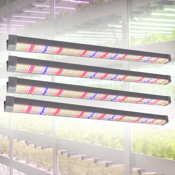 Quality Customized Full Spectrum Dimmable 120W 150W 4Ft Grow Light Under Inter Canopy for sale
