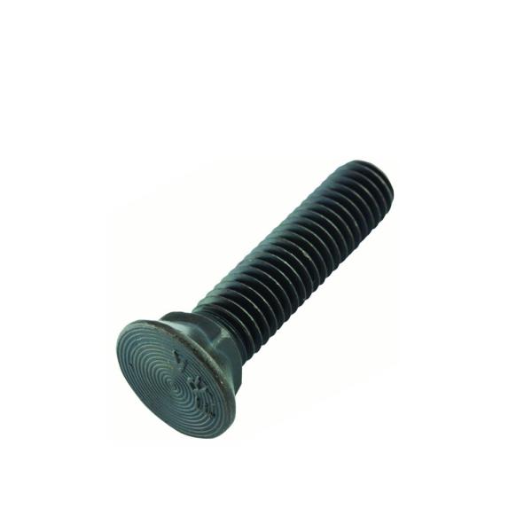Quality DIN605 ASME B 18.5 114 Deg Countersunk Square Neck Bolts for sale